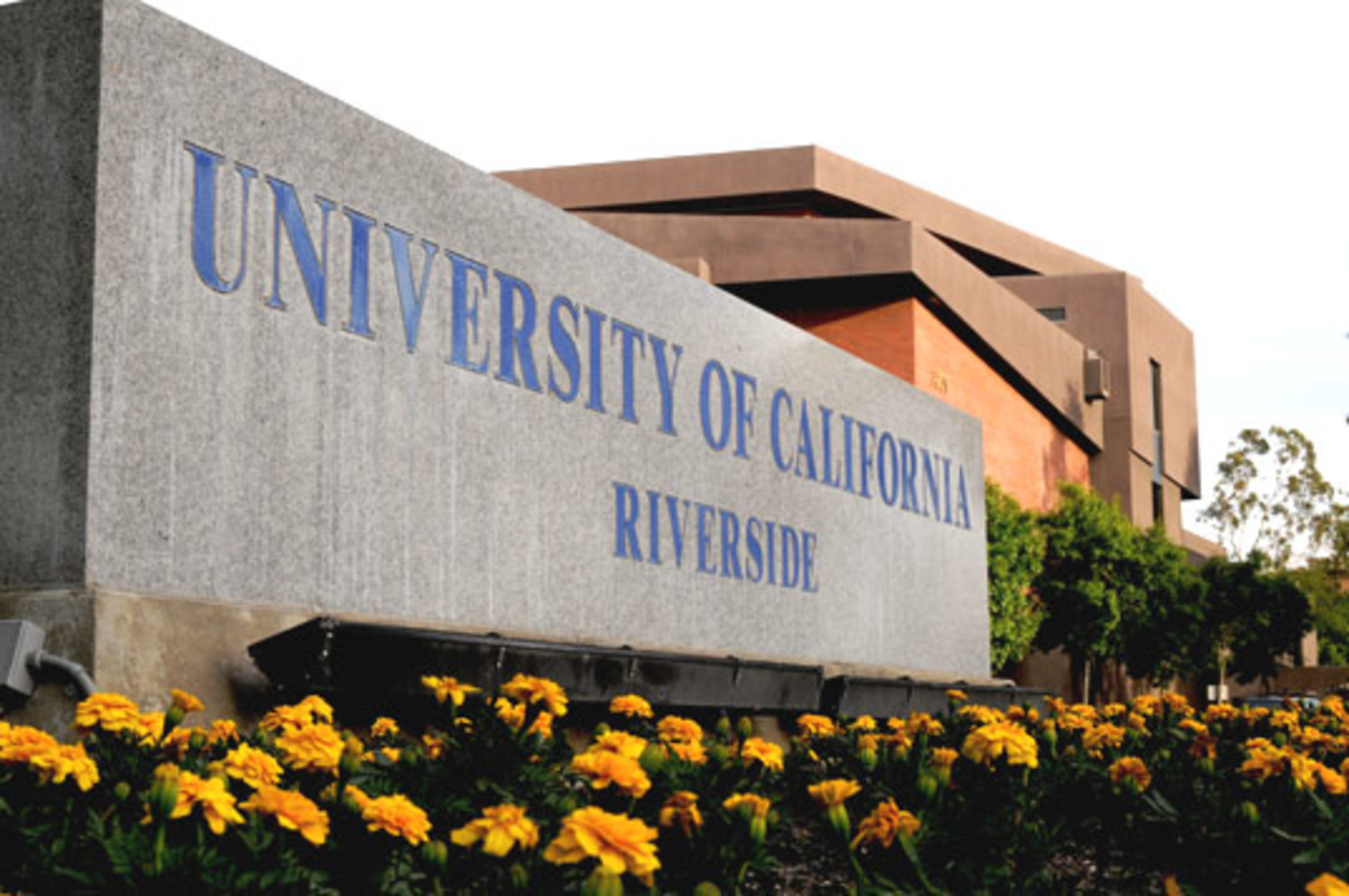 UC Riverside Launches Telemedicine Pilot Project to Treat MS Patients ...