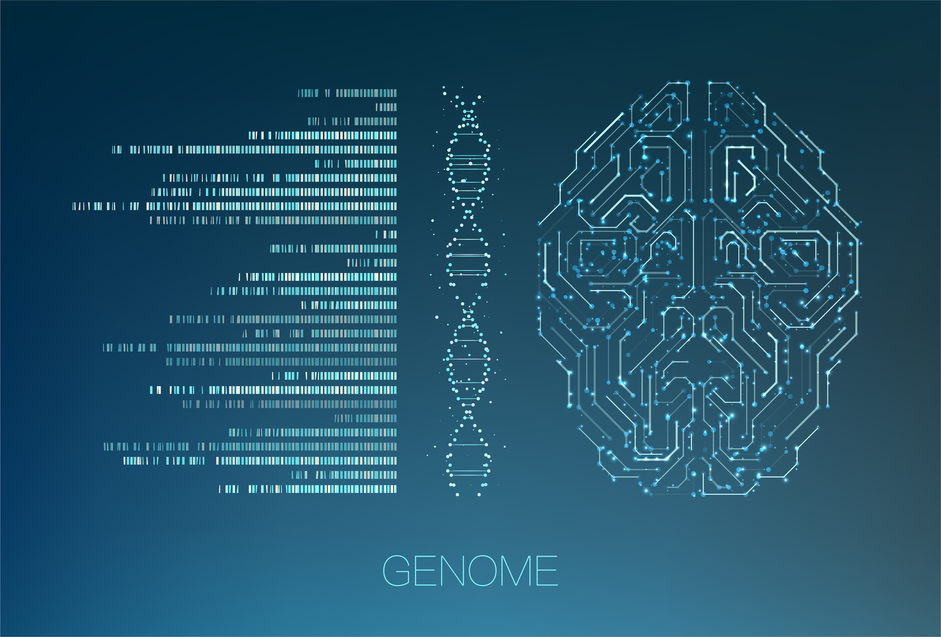 eMerge Network Gets Funding to Improve Genomic Risk Assessments for ...