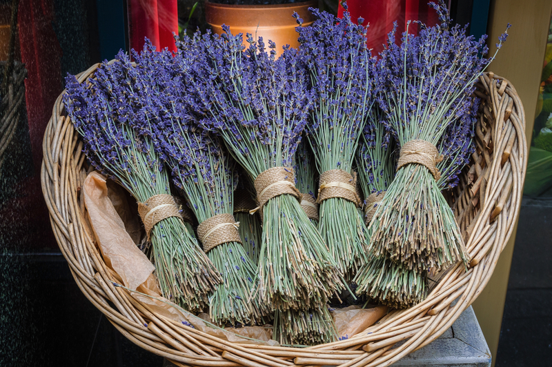 RAND Study: Tightly Scripted Bundled-Payment Programs Can Save Money ...