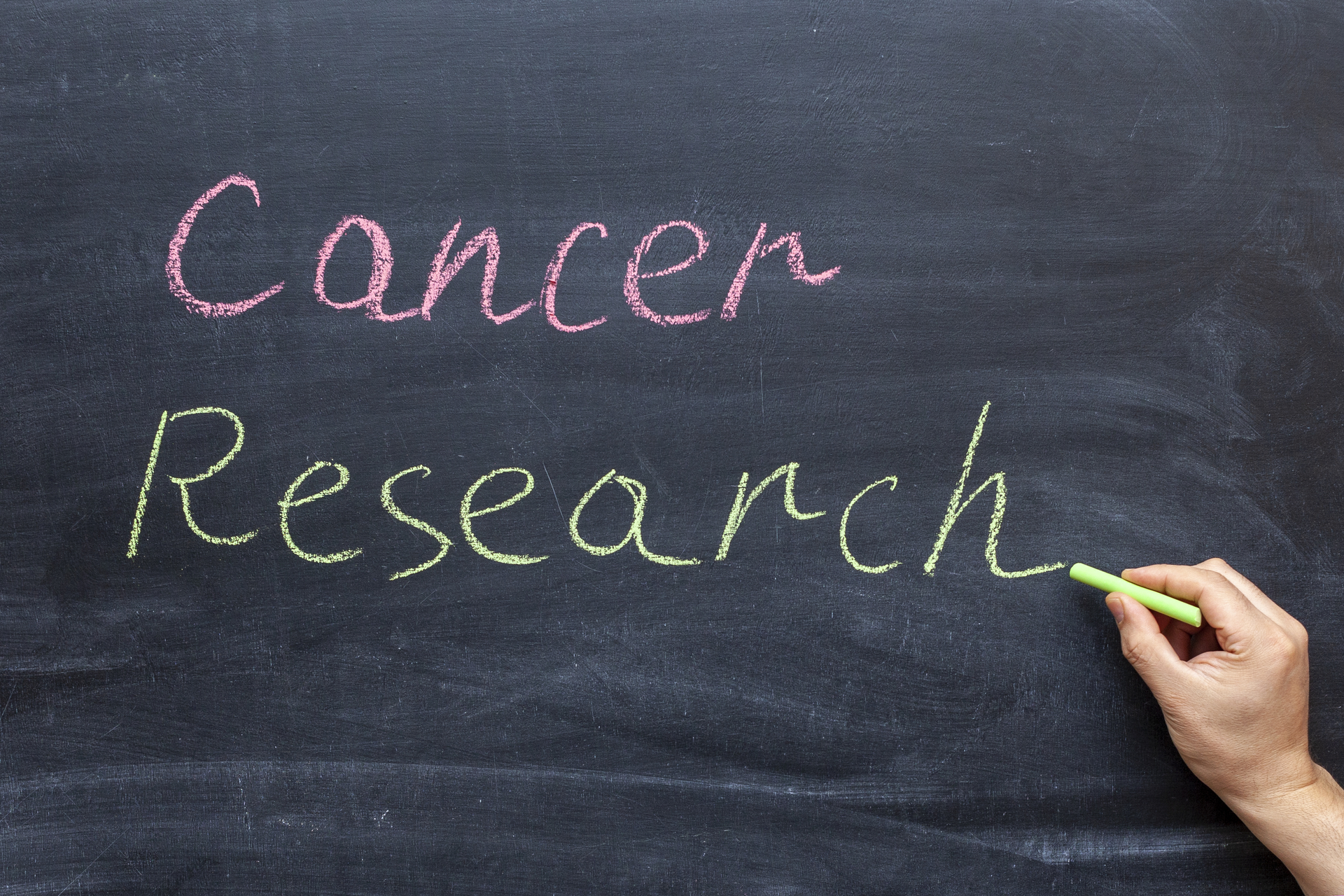 Q&A: Dr. Stephen Edge on the Power of Networking in Cancer Research ...