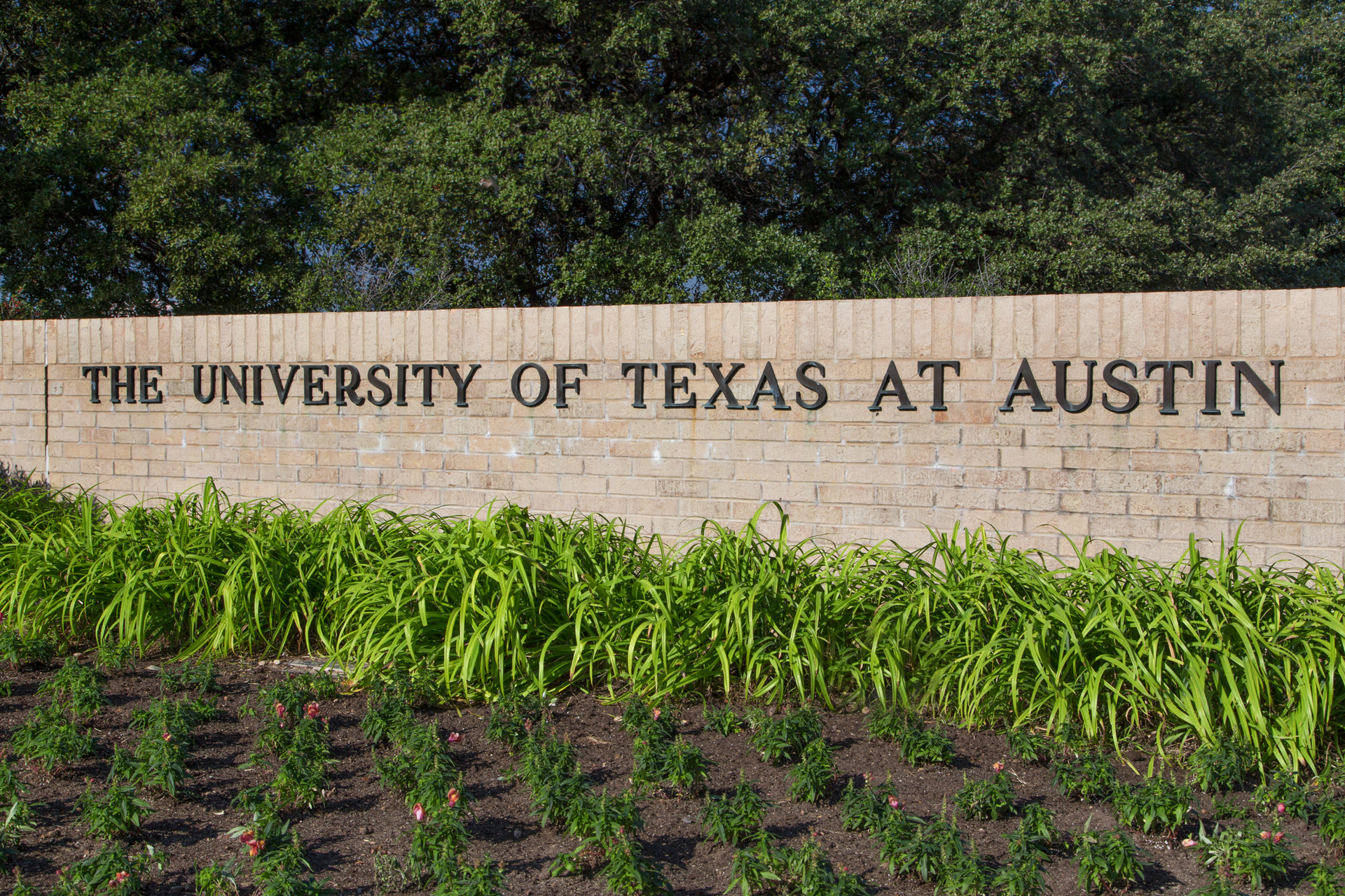 U. of Texas, MD Anderson to Expand Burgeoning Austin Medical District ...