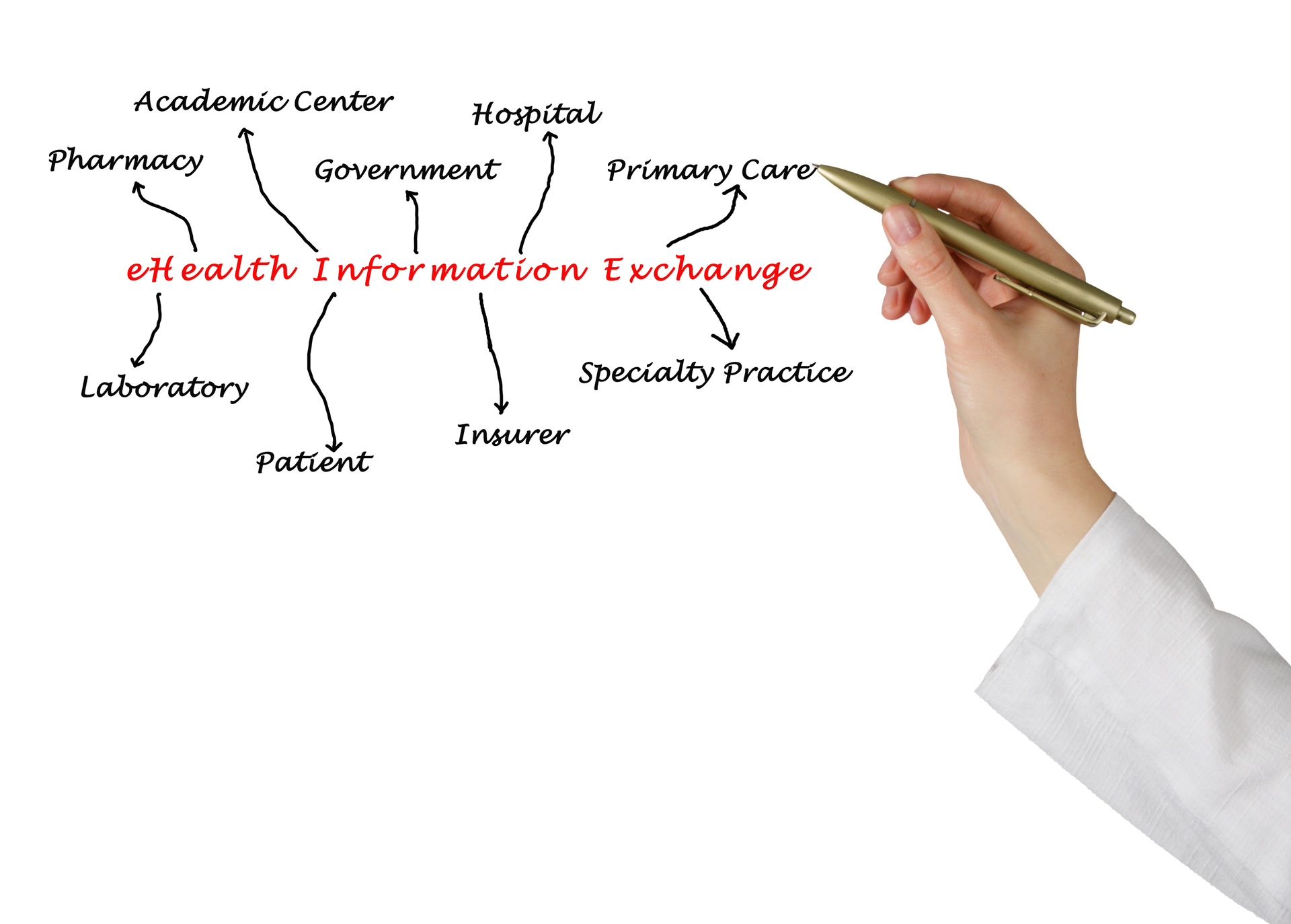 ADT Feeds From Rochester RHIO Help Local Nonprofit Serve Seniors ...